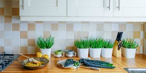Making Your Home Environmentally-Friendly – Here’s How - RooHome